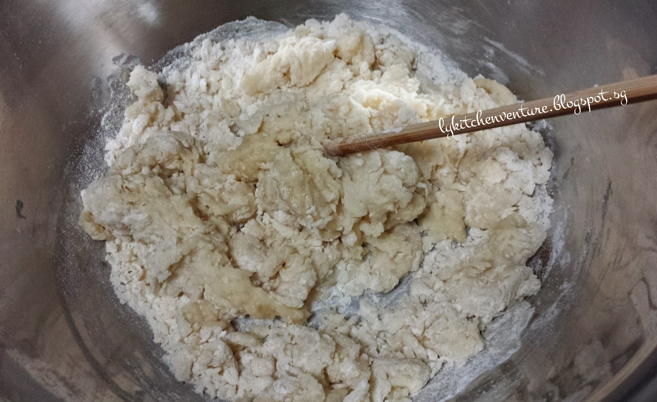 LY's Kitchen Ventures: Guang Su Bing or Kong Soh Peng （光酥饼）